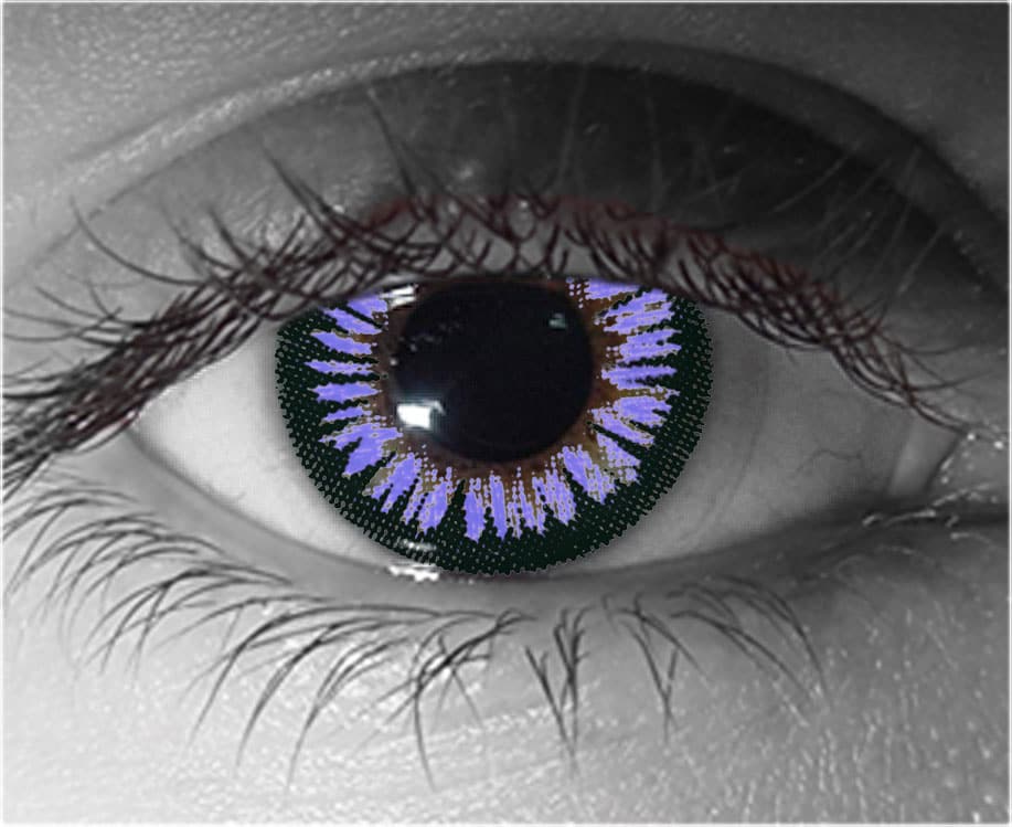 Buy Discount Violent Violet Contact Lenses Online | Lens.com